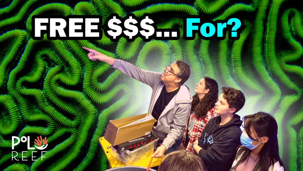 Philanthropy - PoloReef